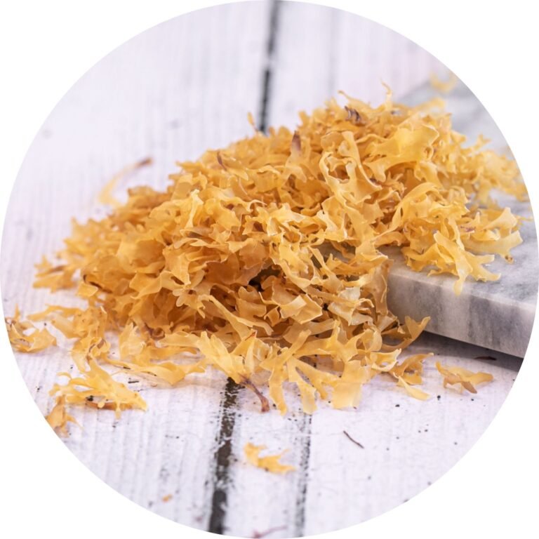 Sea moss Archive